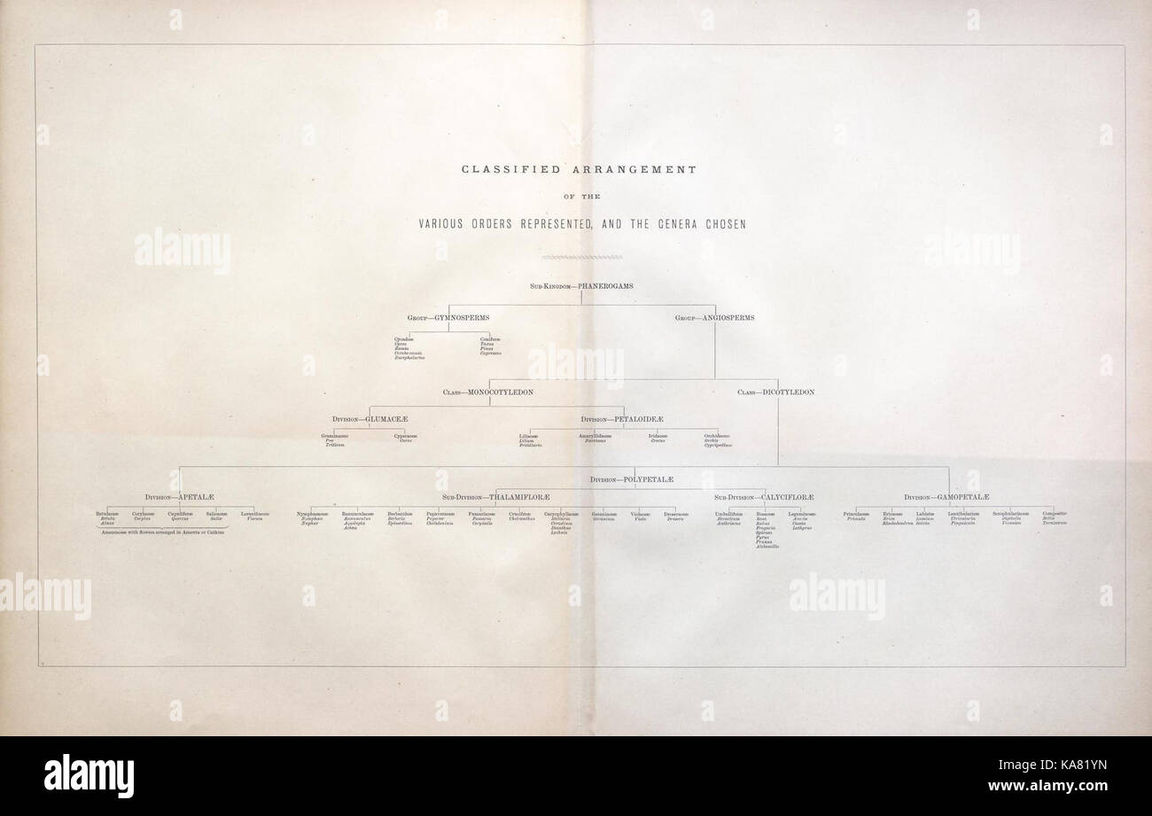 A botanical atlas containing detailed illustrations and descriptions of ...