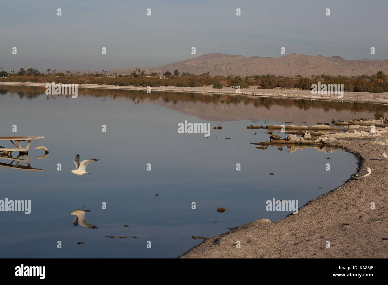 Bombay Beach, California, USA. 10th Dec, 2016. The Salton Sea is a ...