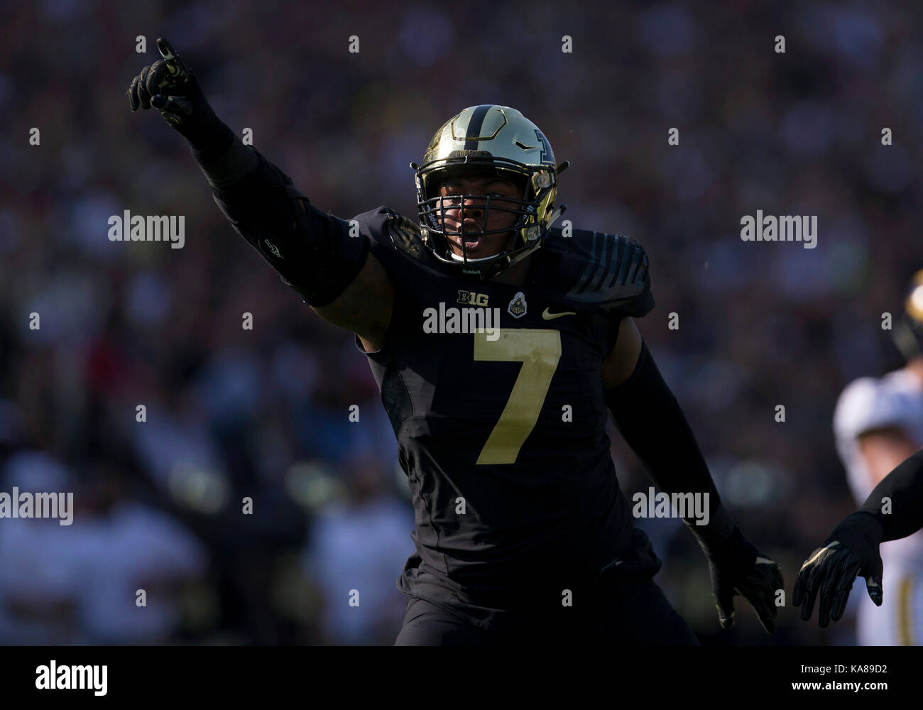 Eddy wilson hi-res stock photography and images - Alamy