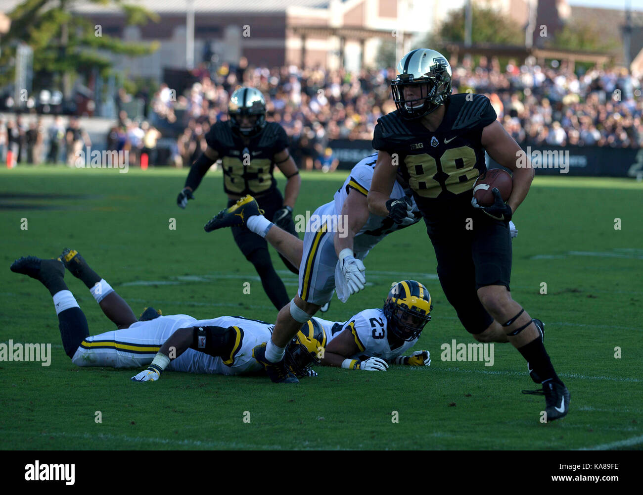 Cole herdman hi-res stock photography and images - Alamy