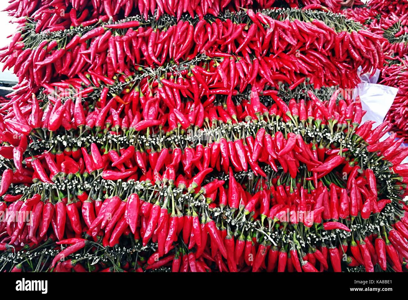 Qingdao, China. 25th Sep, 2017. Piles of red peppers are on sale at a ...