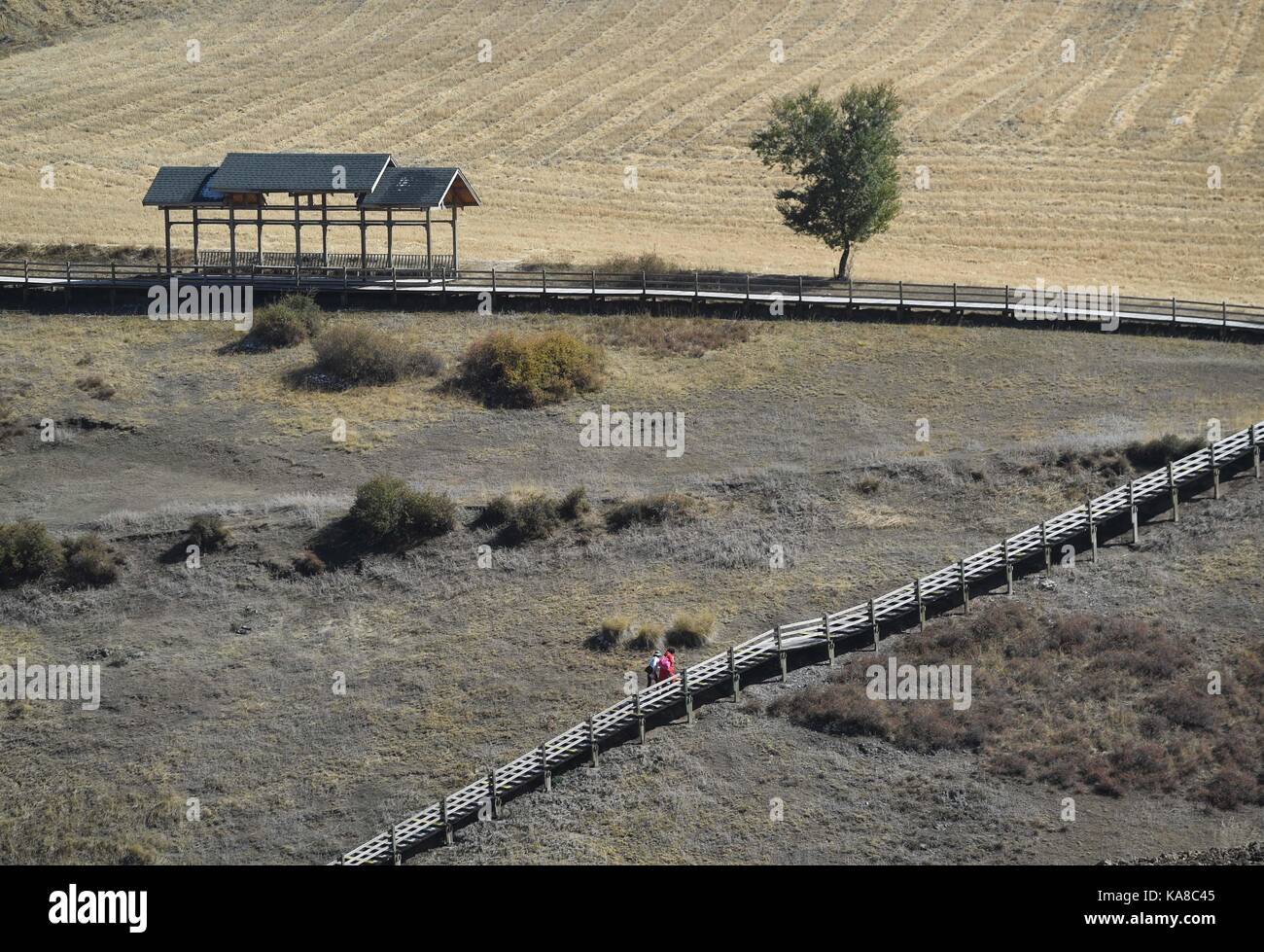 Qitai, China's Xinjiang Uygur Autonomous Region. 25th Sep, 2017 ...