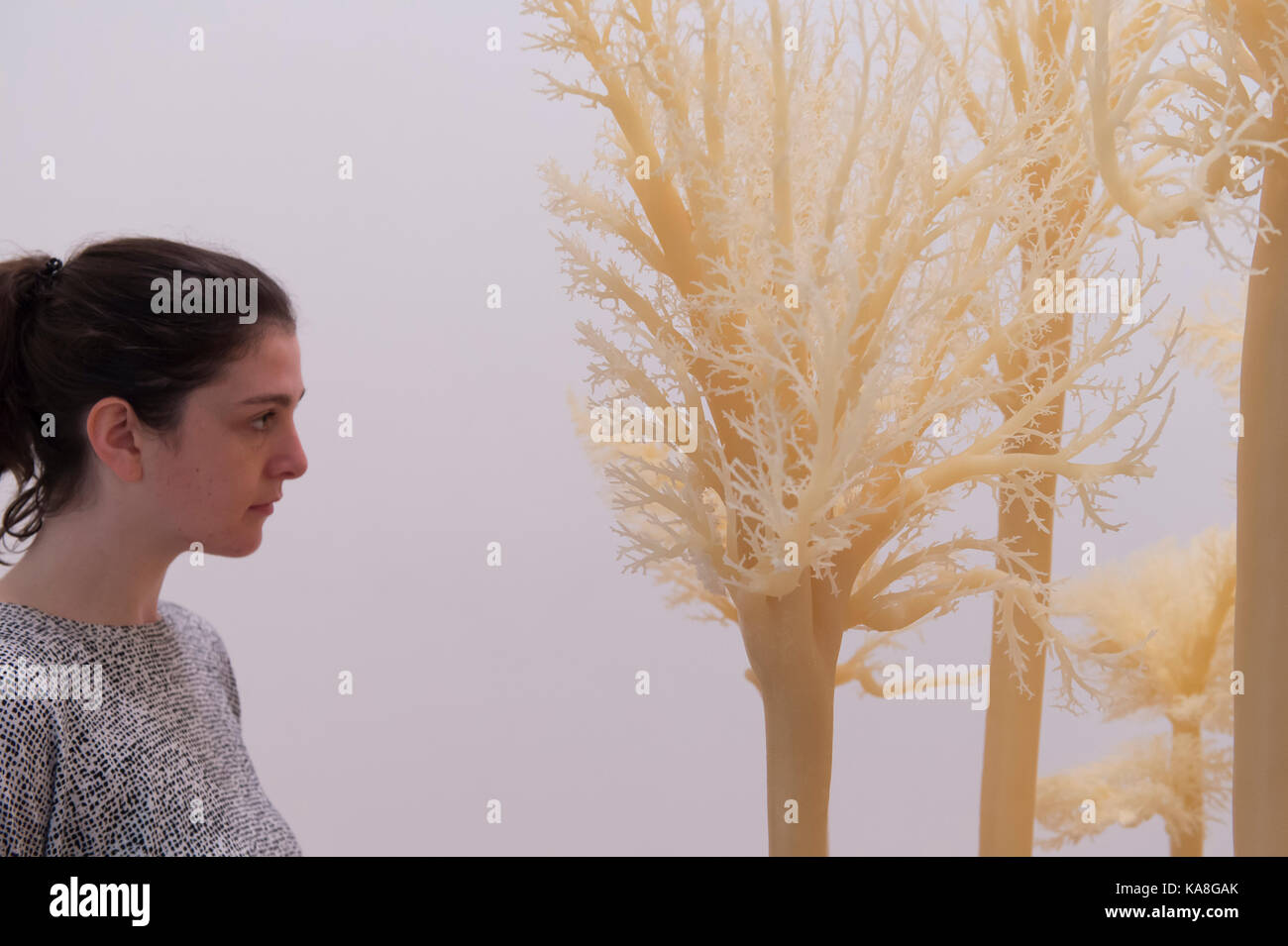 Sensation exhibition damien hirst hi-res stock photography and images - Alamy