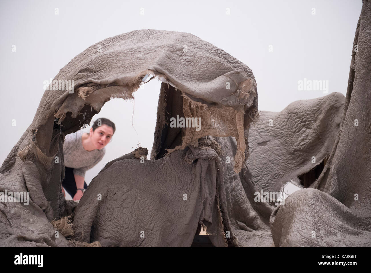 Sensation exhibition damien hirst hi-res stock photography and images - Alamy