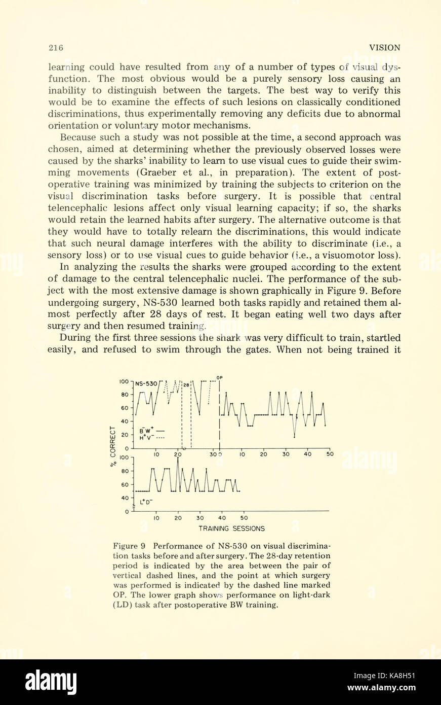 Sensory biology of sharks, skates, and rays (Page 216) BHL2888546 Stock ...