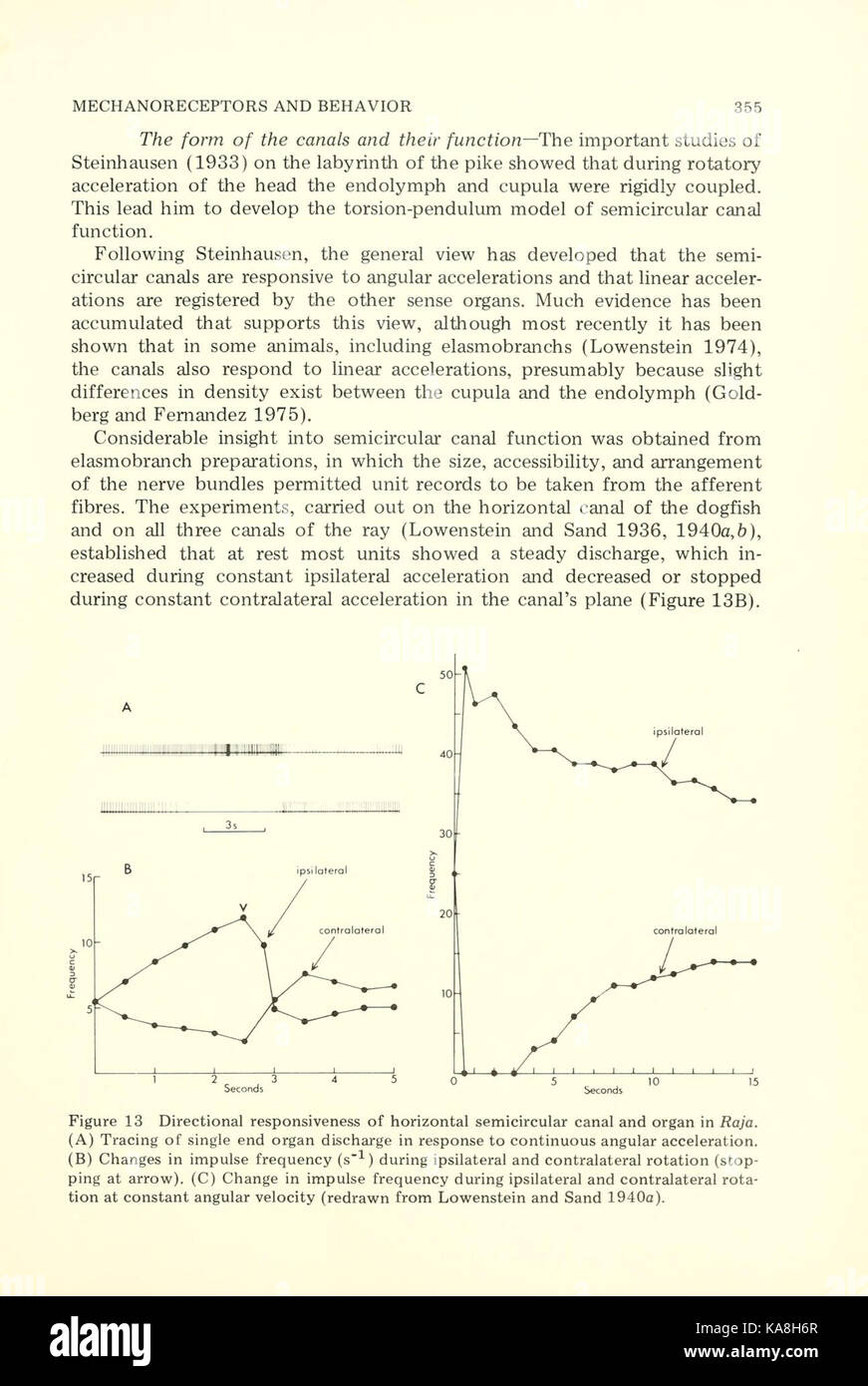 This page from the book 'Sensory Biology of Sharks, Skates, and Rays ...