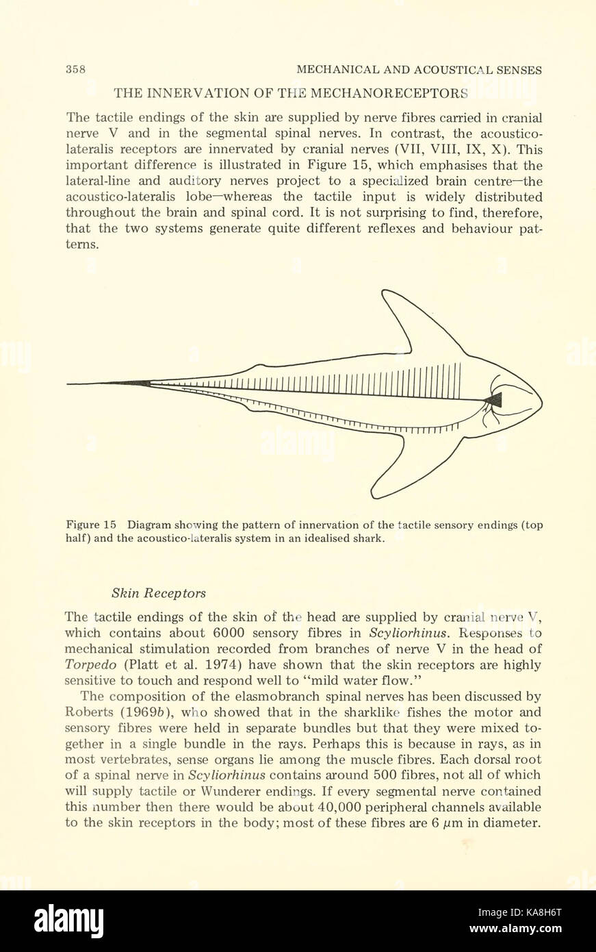 The *Sensory Biology of Sharks, Skates, and Rays* explores the sensory ...