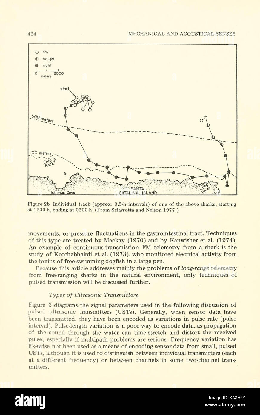 Sensory biology of sharks, skates, and rays (Page 424) BHL2888758 Stock ...