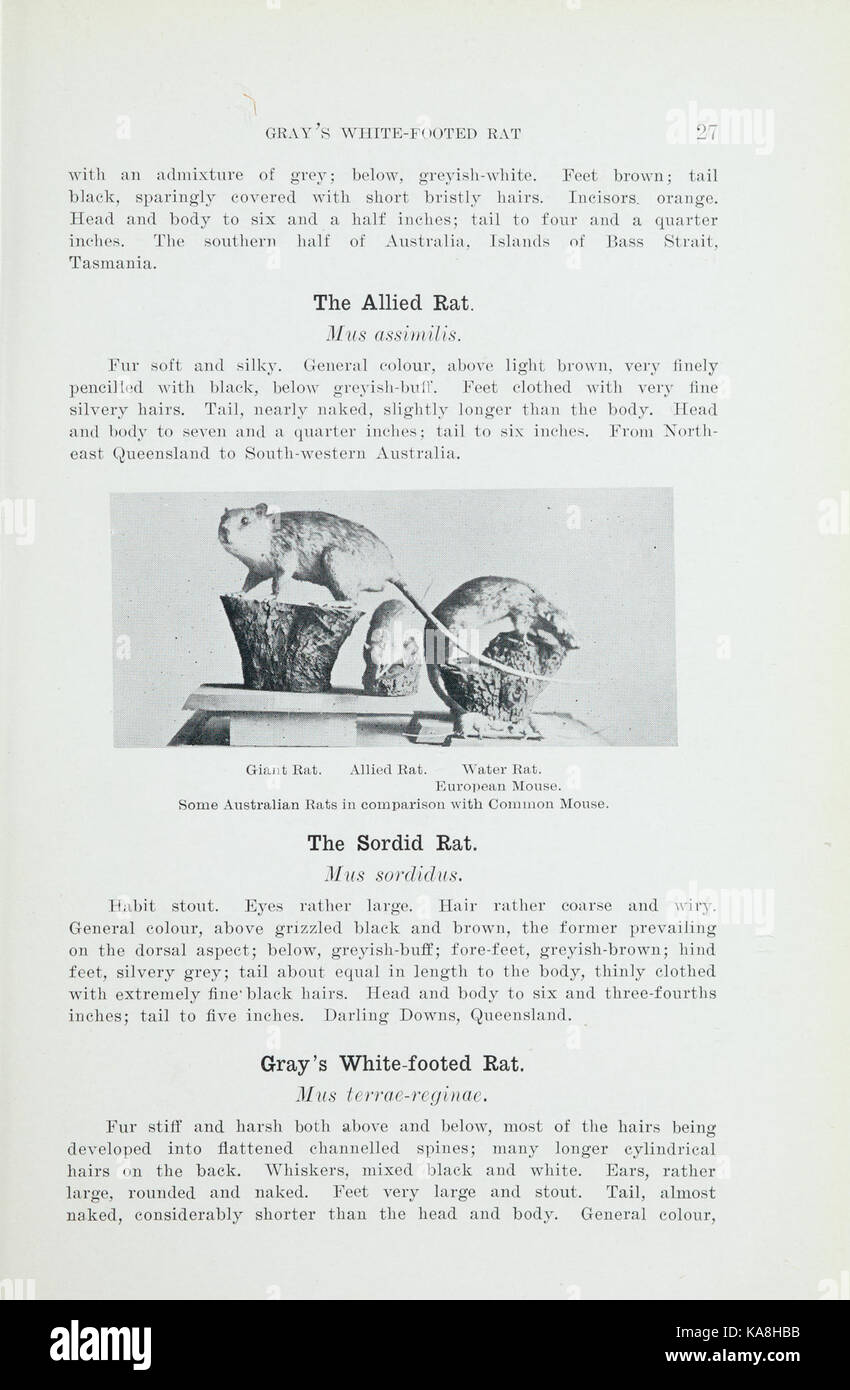 A detailed account of the animals native to Australia, showcasing the ...