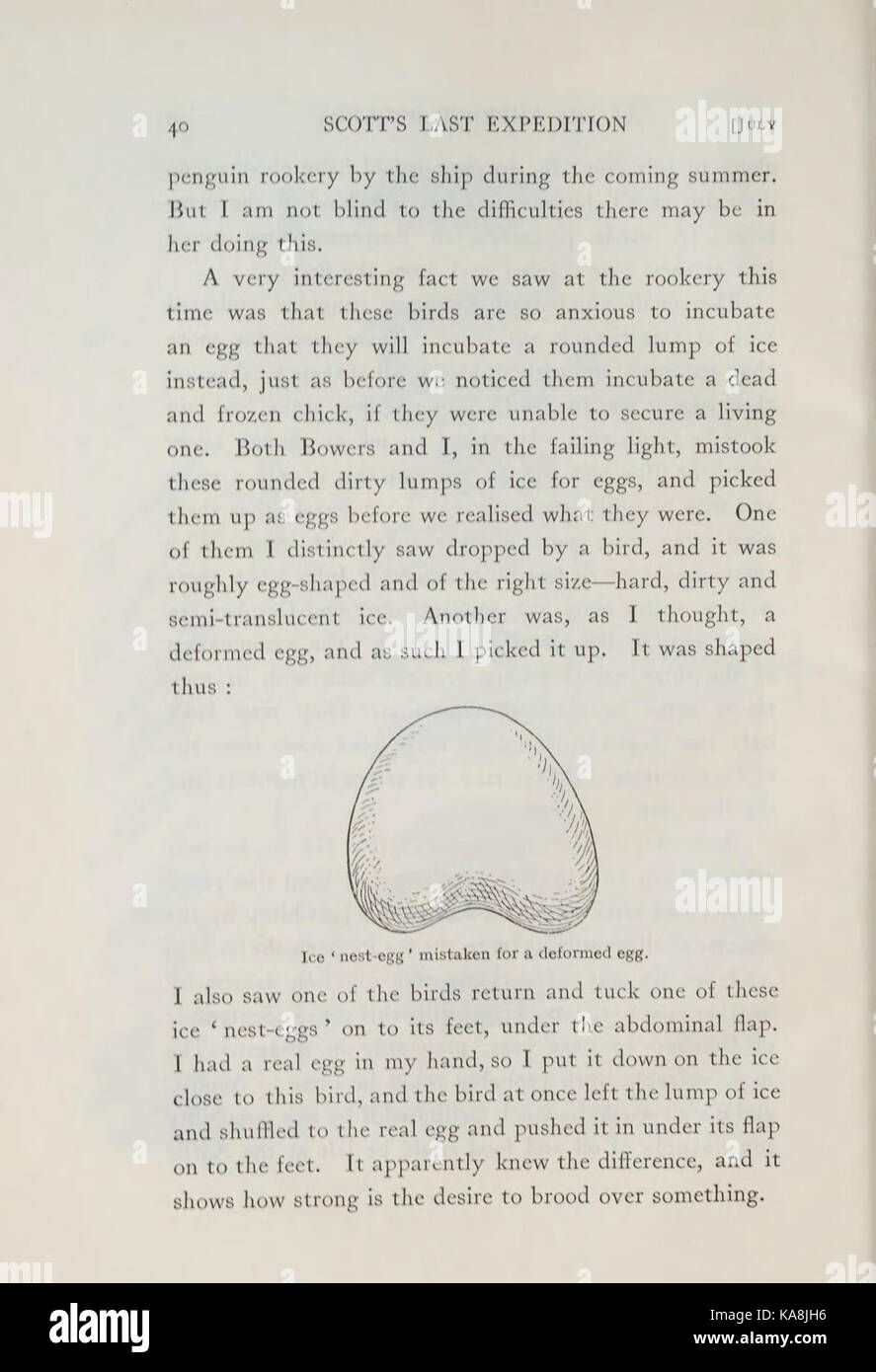 Scott's last expedition (Page 40) BHL48065598 Stock Photo - Alamy