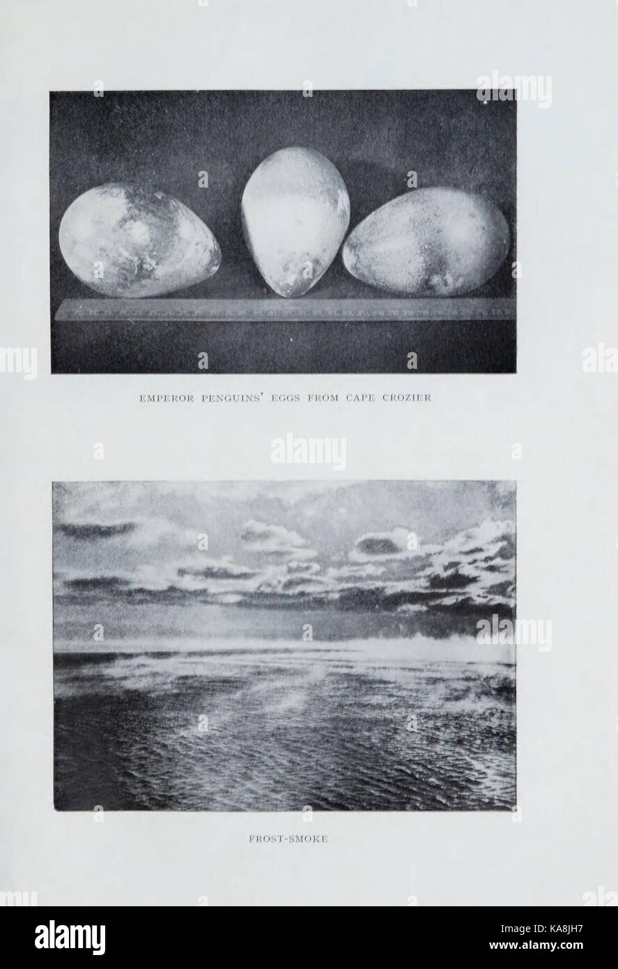 Scott's last expedition BHL48065599 Stock Photo - Alamy