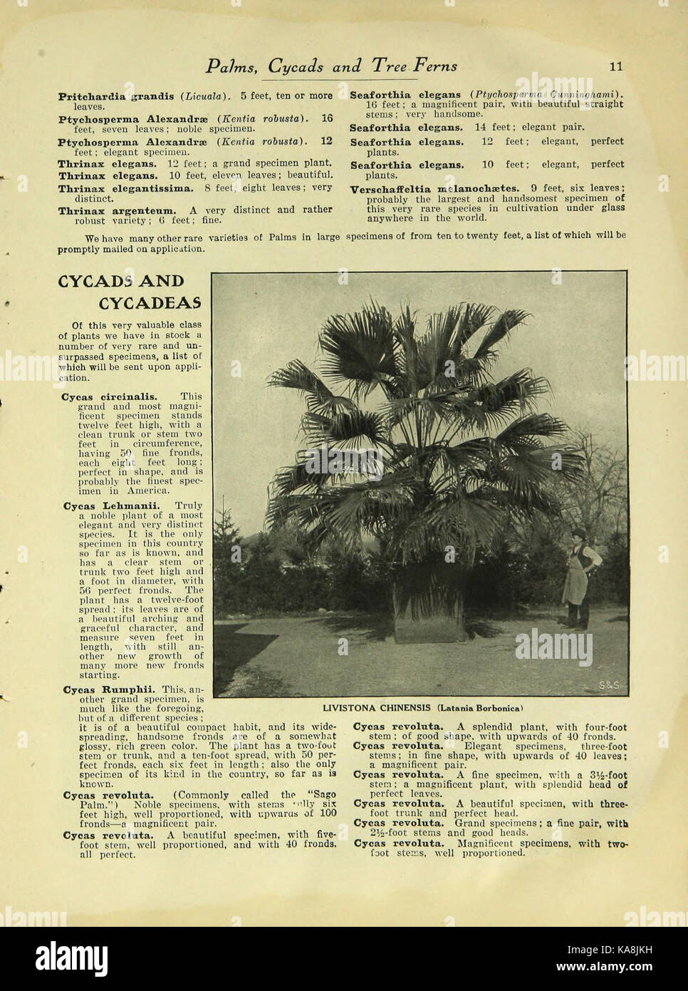 Map of wadley High Resolution Stock Photography and Images - Alamy