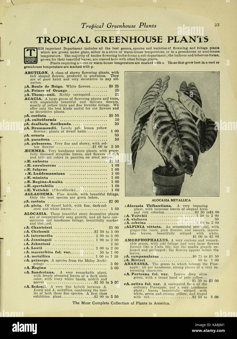 Map of wadley High Resolution Stock Photography and Images - Alamy