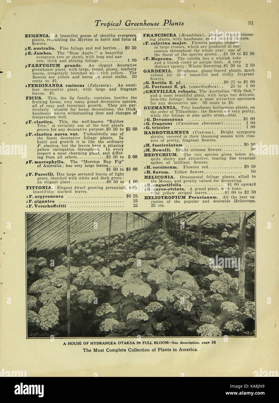 Map of wadley High Resolution Stock Photography and Images - Alamy