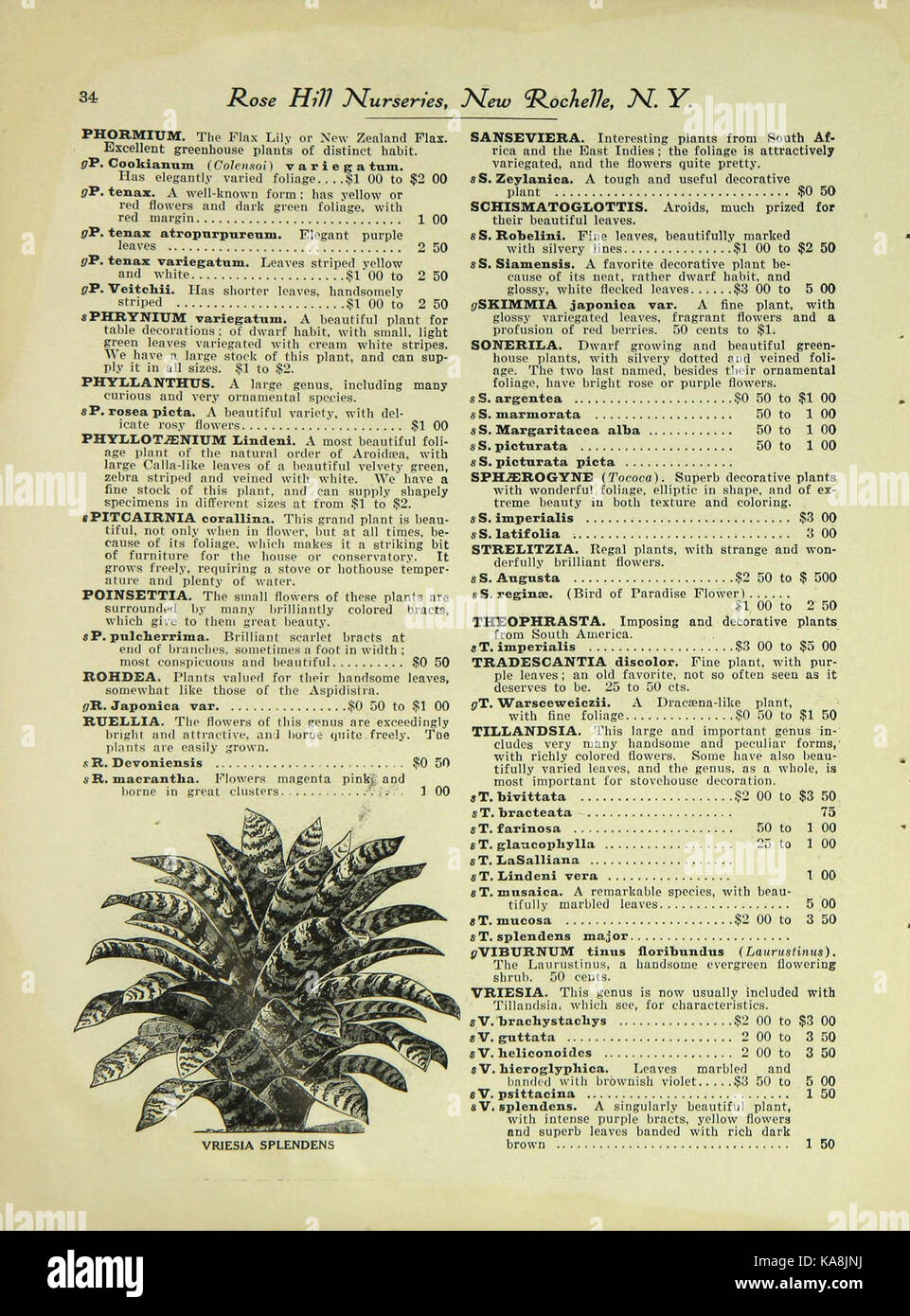 Wadley map hi-res stock photography and images - Alamy