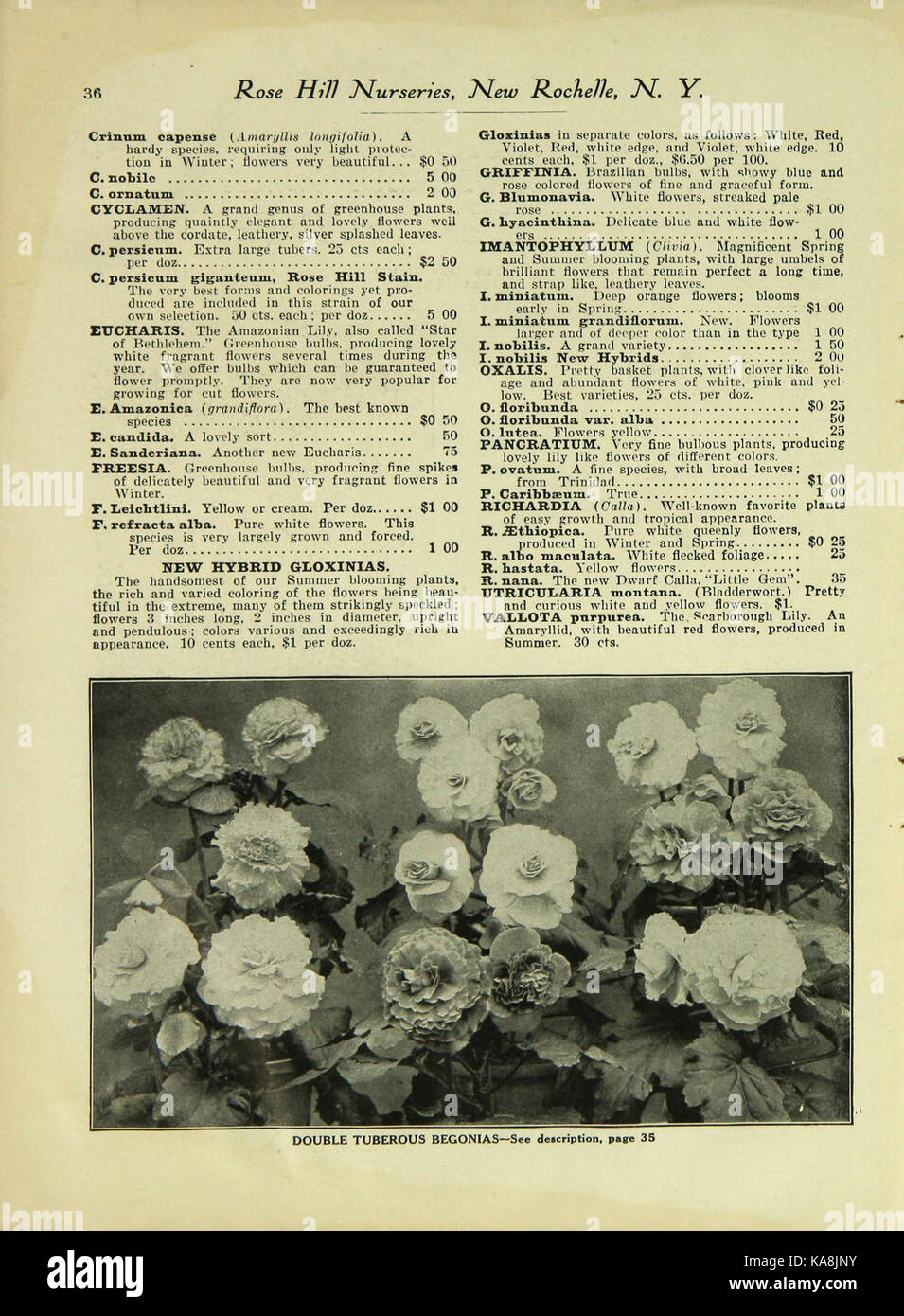 Map of wadley High Resolution Stock Photography and Images - Alamy