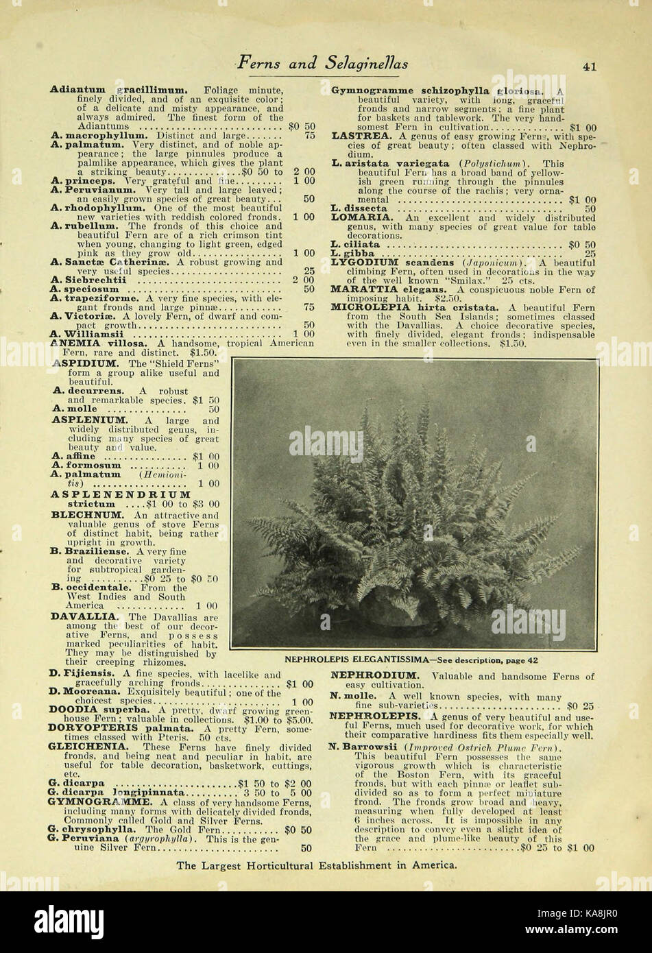 Map of wadley High Resolution Stock Photography and Images - Alamy