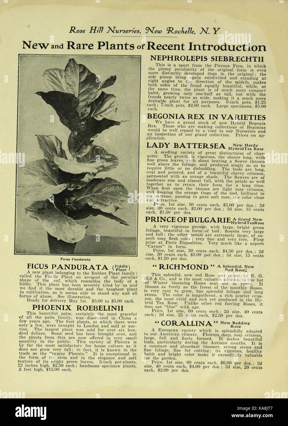 Map of wadley High Resolution Stock Photography and Images - Alamy