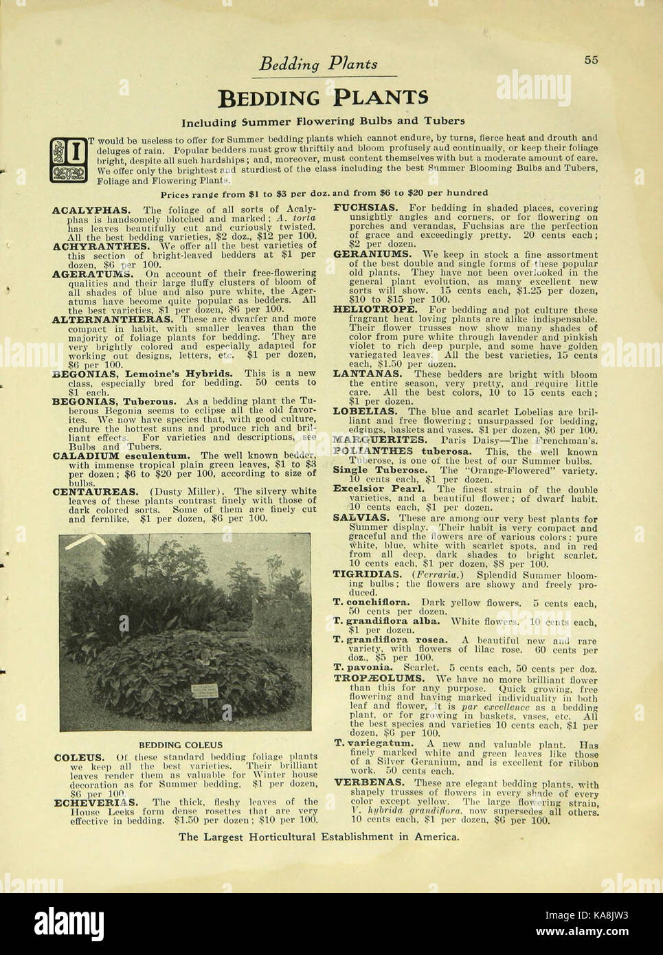 Map of wadley High Resolution Stock Photography and Images - Alamy