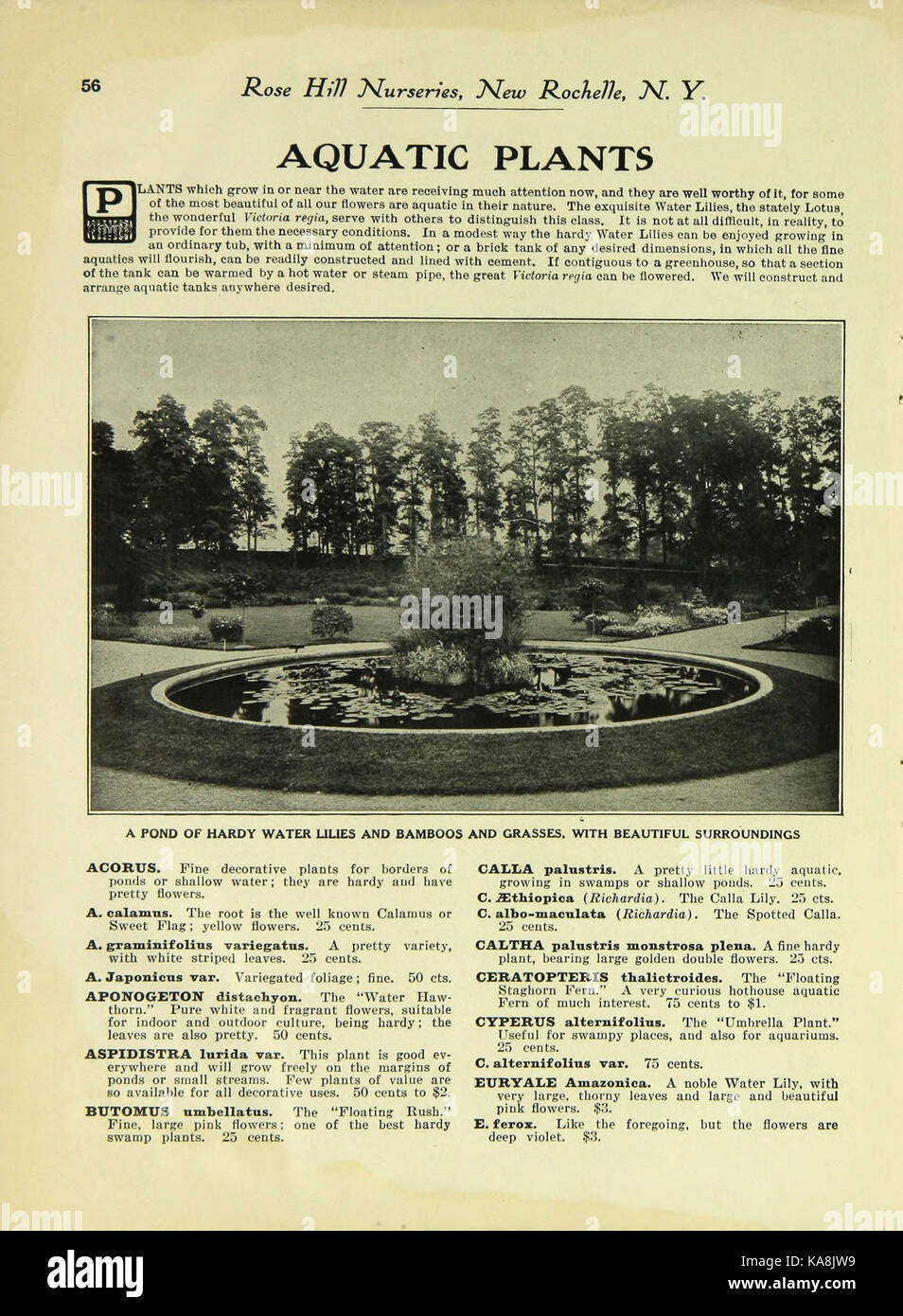 Map of wadley High Resolution Stock Photography and Images - Alamy