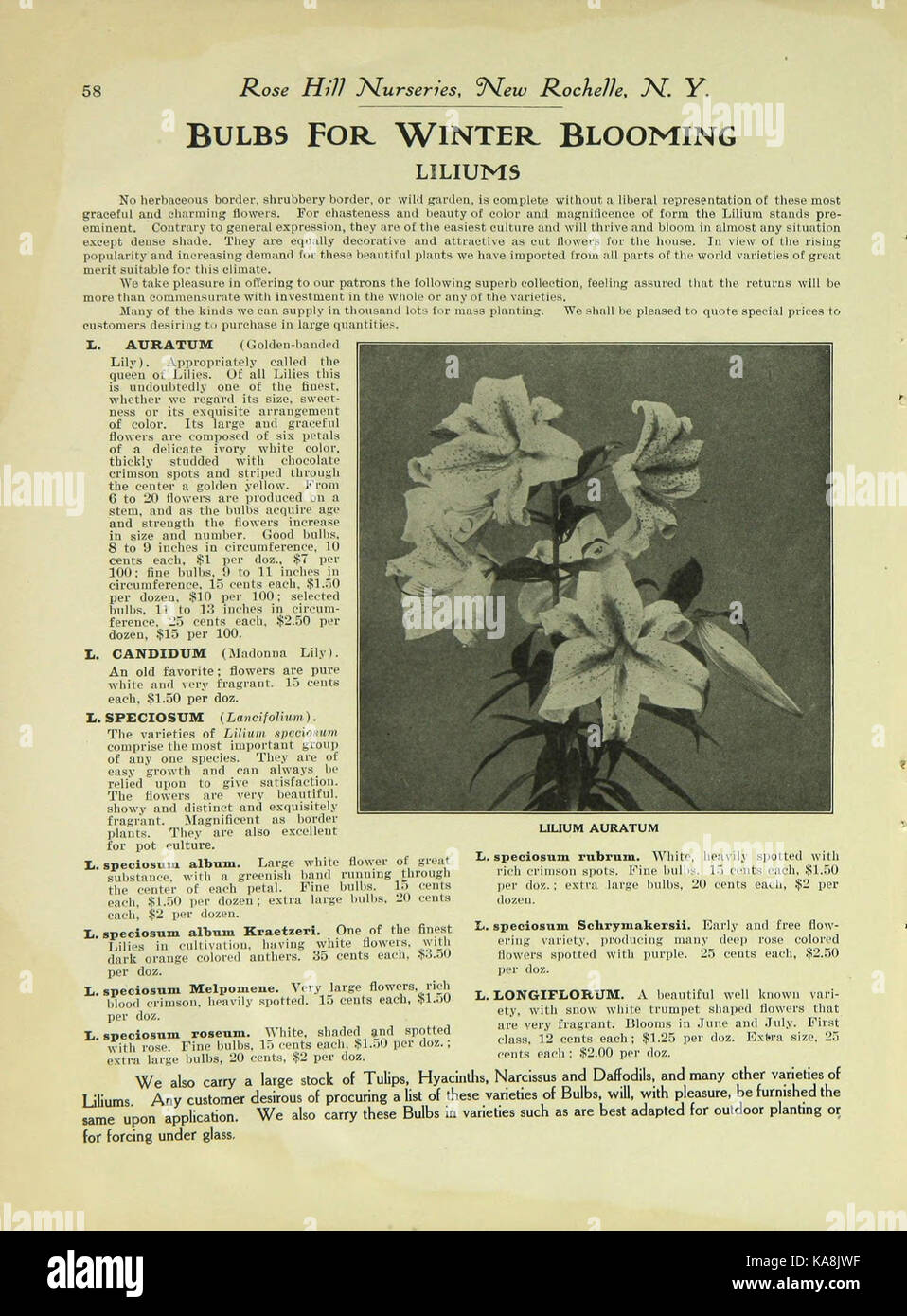 Map of wadley High Resolution Stock Photography and Images - Alamy