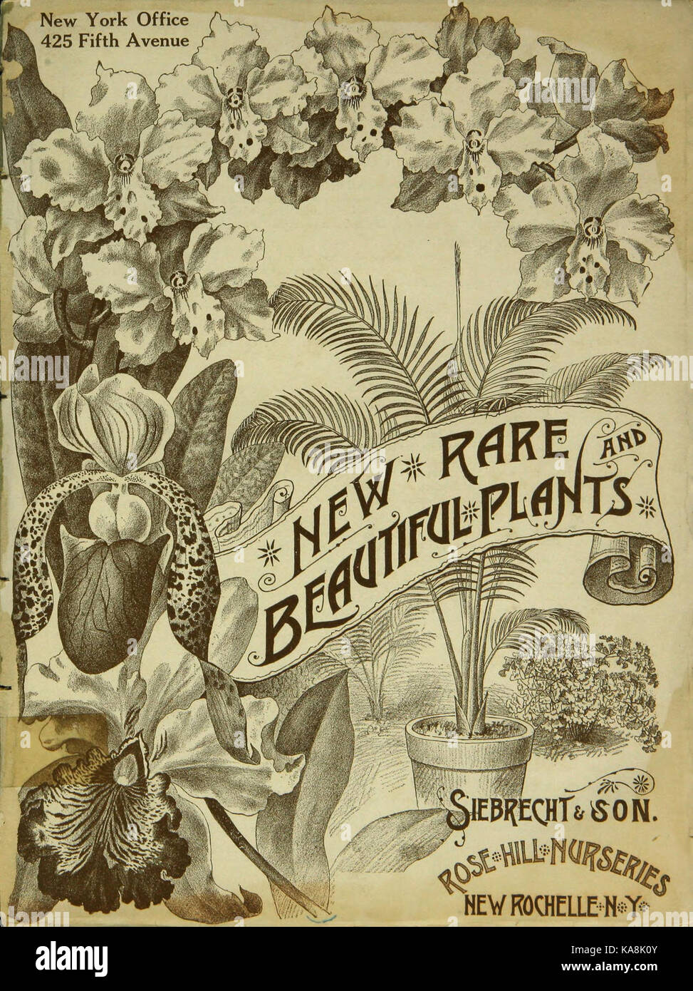 Map of wadley hi-res stock photography and images - Alamy