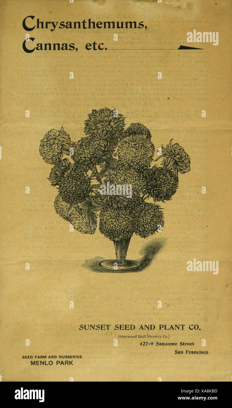 Sunset Seed and Plant Co. materials (Page 1) BHL47619655 Stock Photo ...