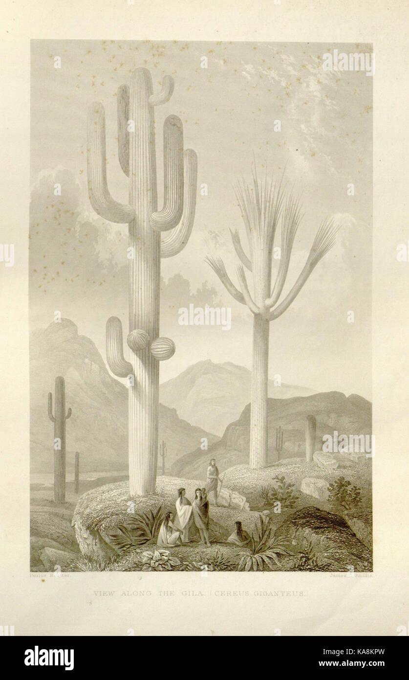 The botanical works of the late George Engelmann, collected for Henry ...