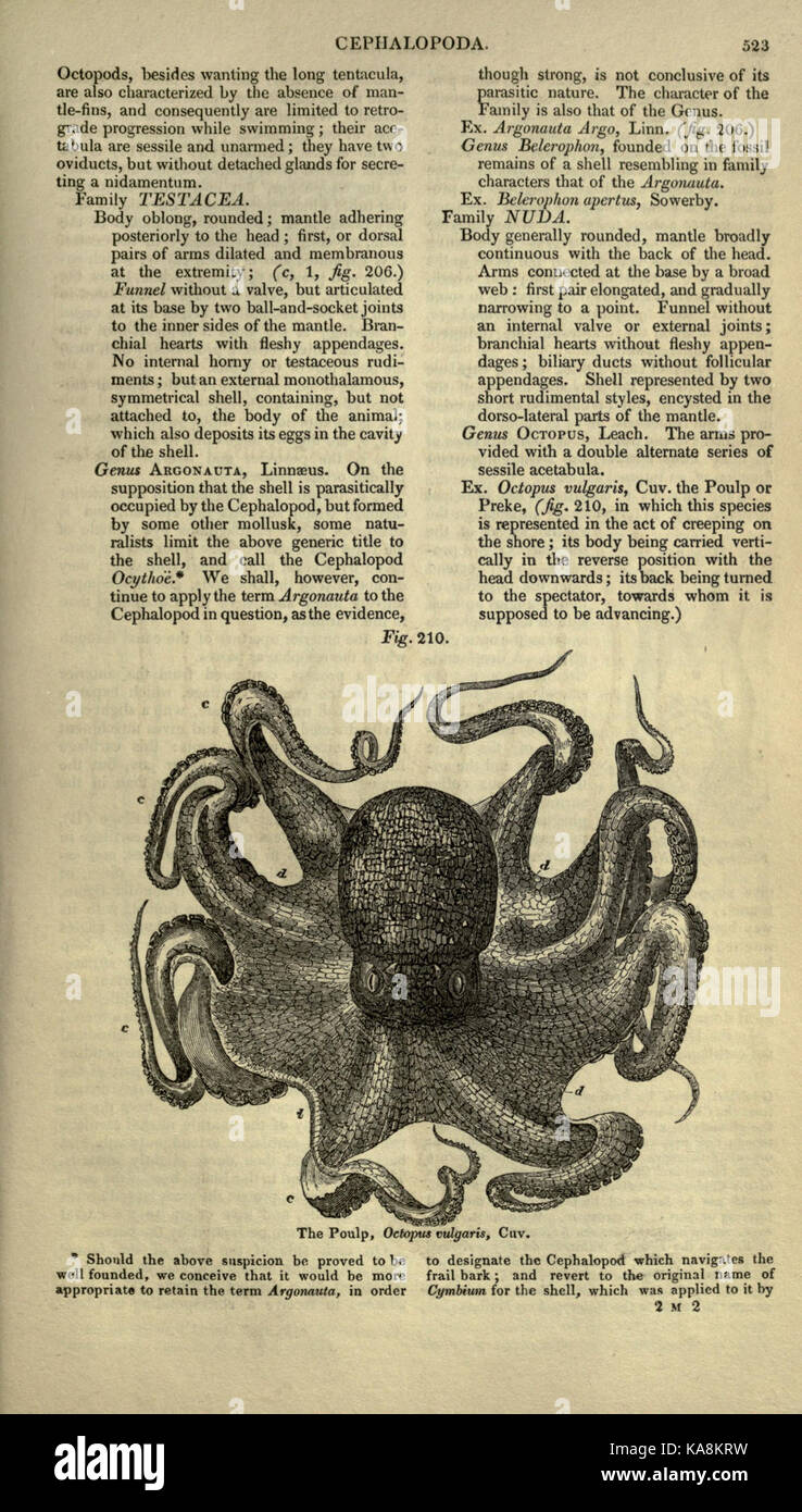 Cyclopædia of anatomy hi-res stock photography and images - Alamy