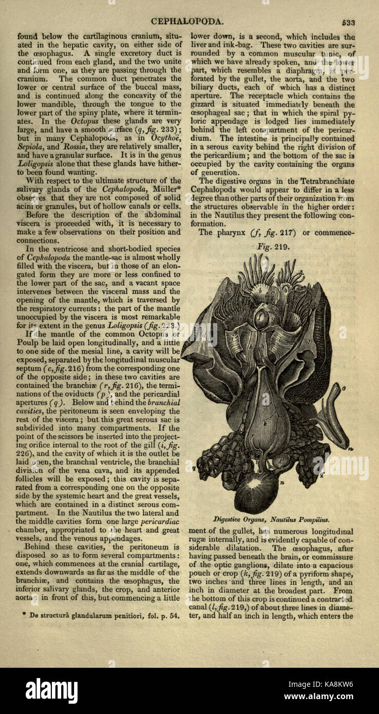 The cyclopaedia of anatomy and physiology (Page 533) BHL21559939 Stock ...