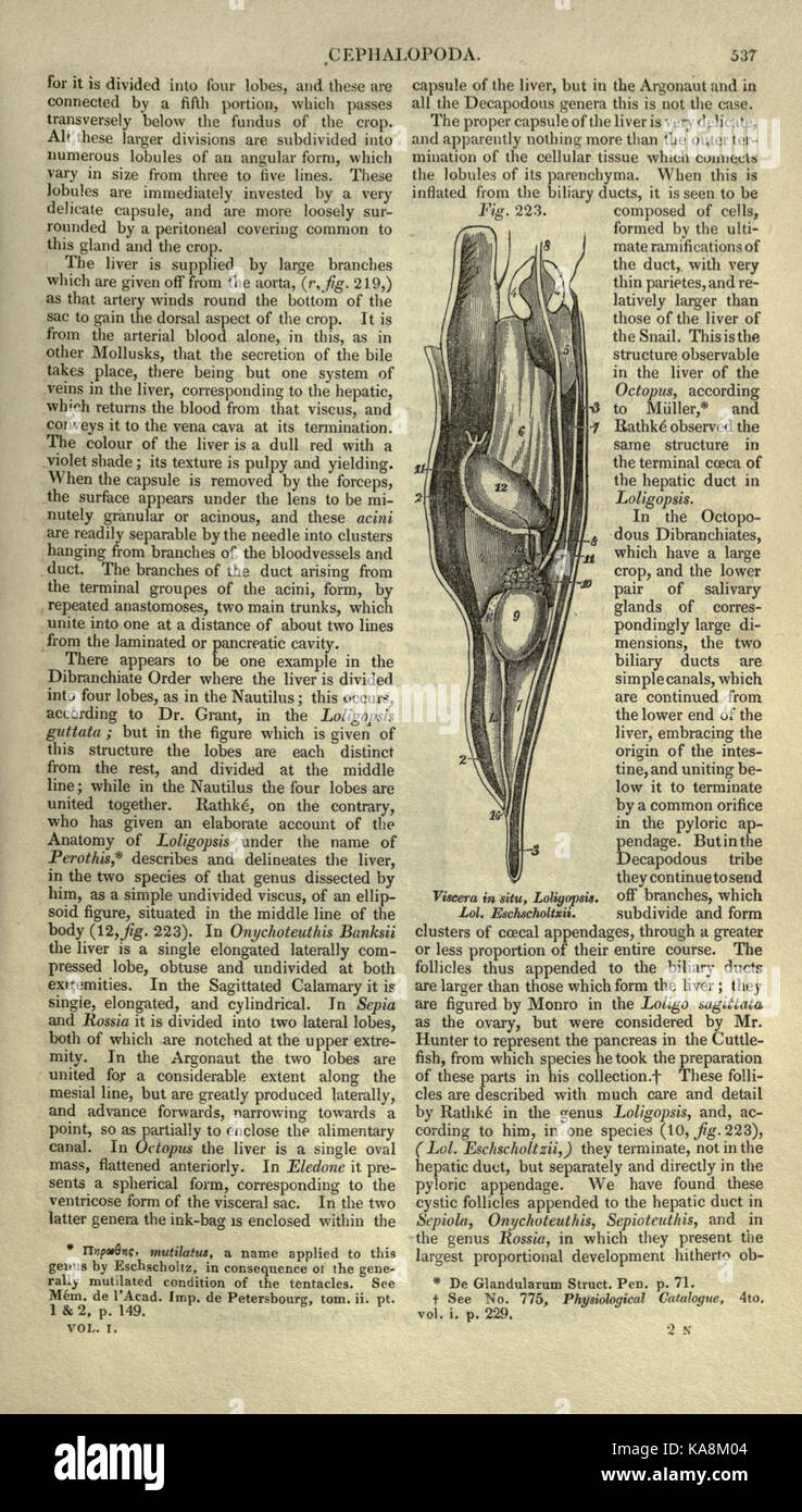 The cyclopaedia of anatomy and physiology (Page 537) BHL21559943 Stock ...