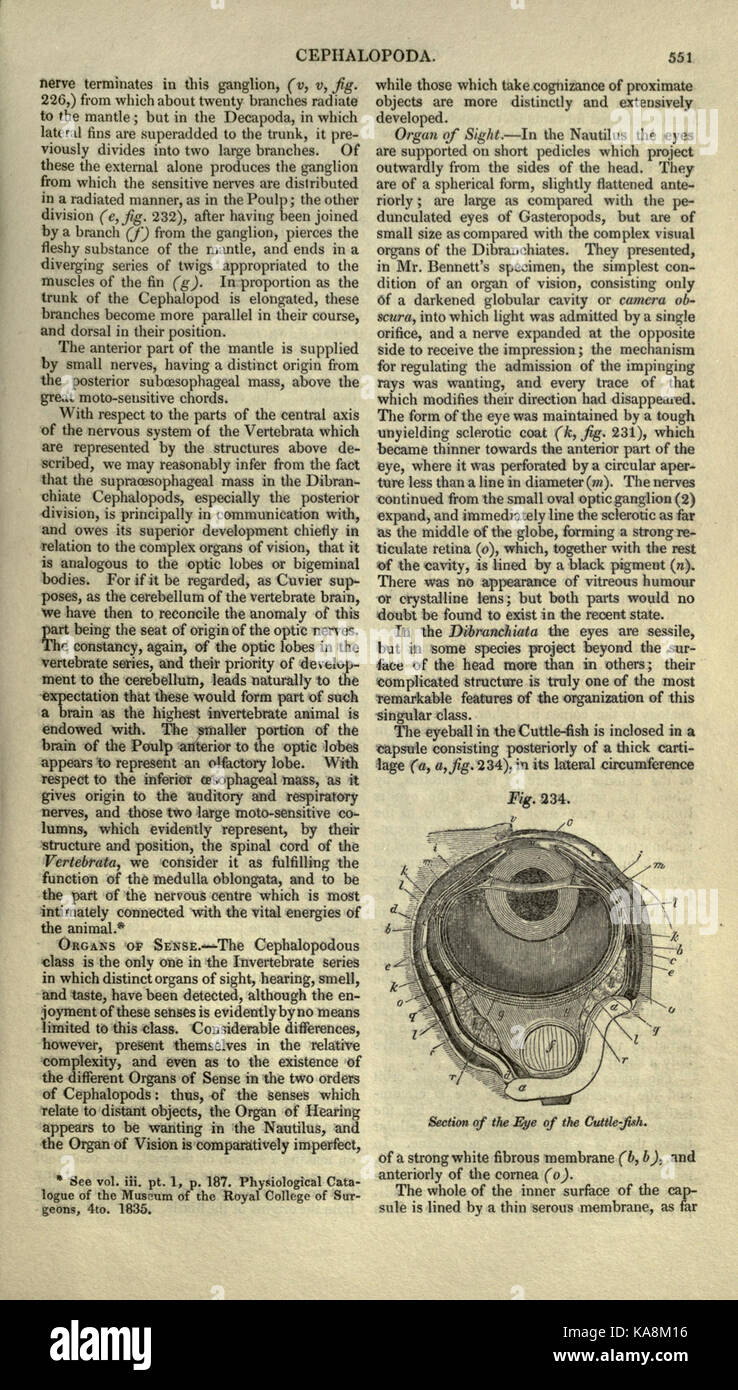 Cyclopaedia of anatomy and physiology hi-res stock photography and ...