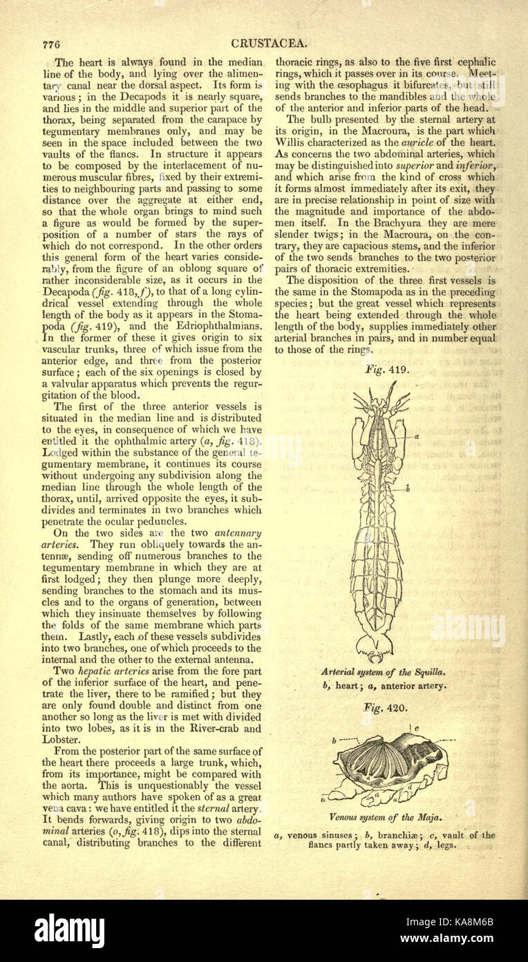 Cyclopædia of anatomy hi-res stock photography and images - Alamy