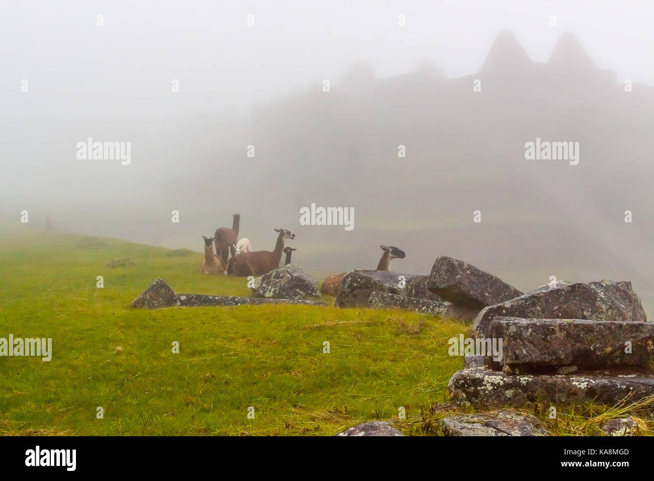 Machu Picchu, "The Lost City of the Incas", Peru Stock Photo - Alamy