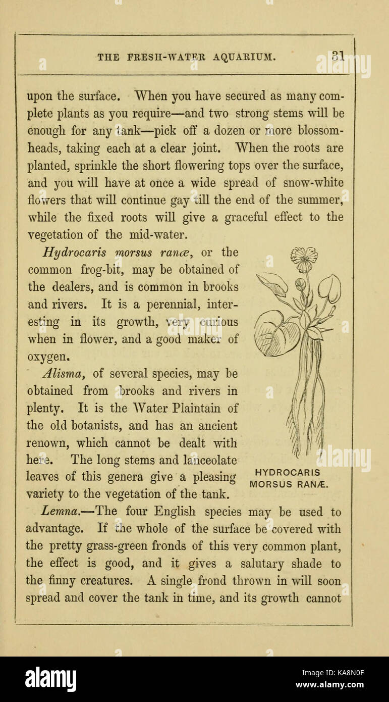 This page from 'The Book of the Aquarium and Water Cabinet' provides ...