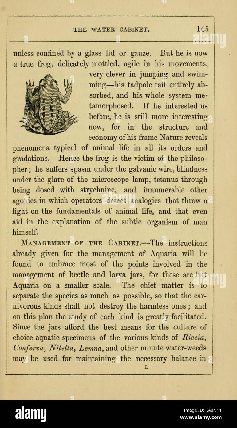 A page from 'The Book of the Aquarium and Water Cabinet,' showcasing an ...