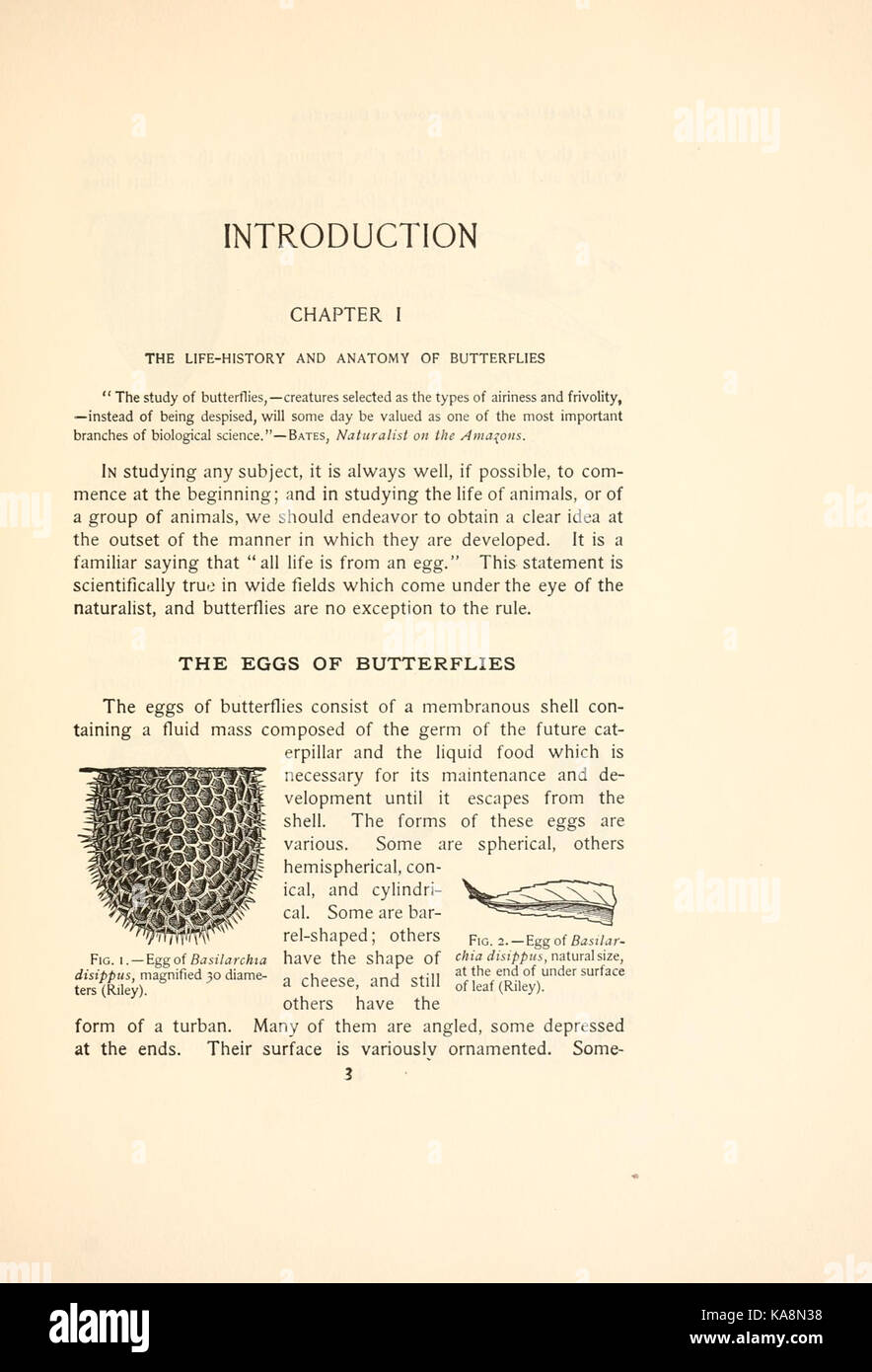 Chapter 1 book hi-res stock photography and images - Alamy