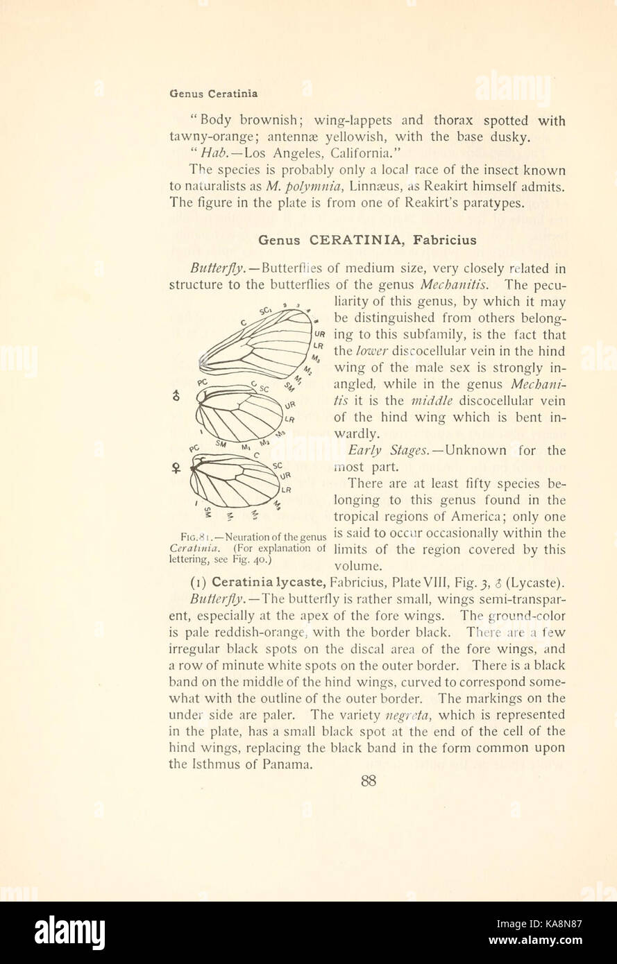 Page 88, Figure 81 of 'The Butterfly Book' displays a detailed ...