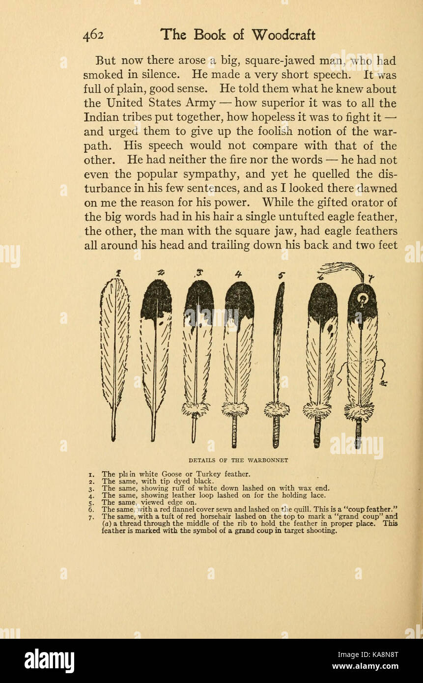 The book of woodcraft and Indian lore (Page 462) BHL3910472 Stock Photo ...
