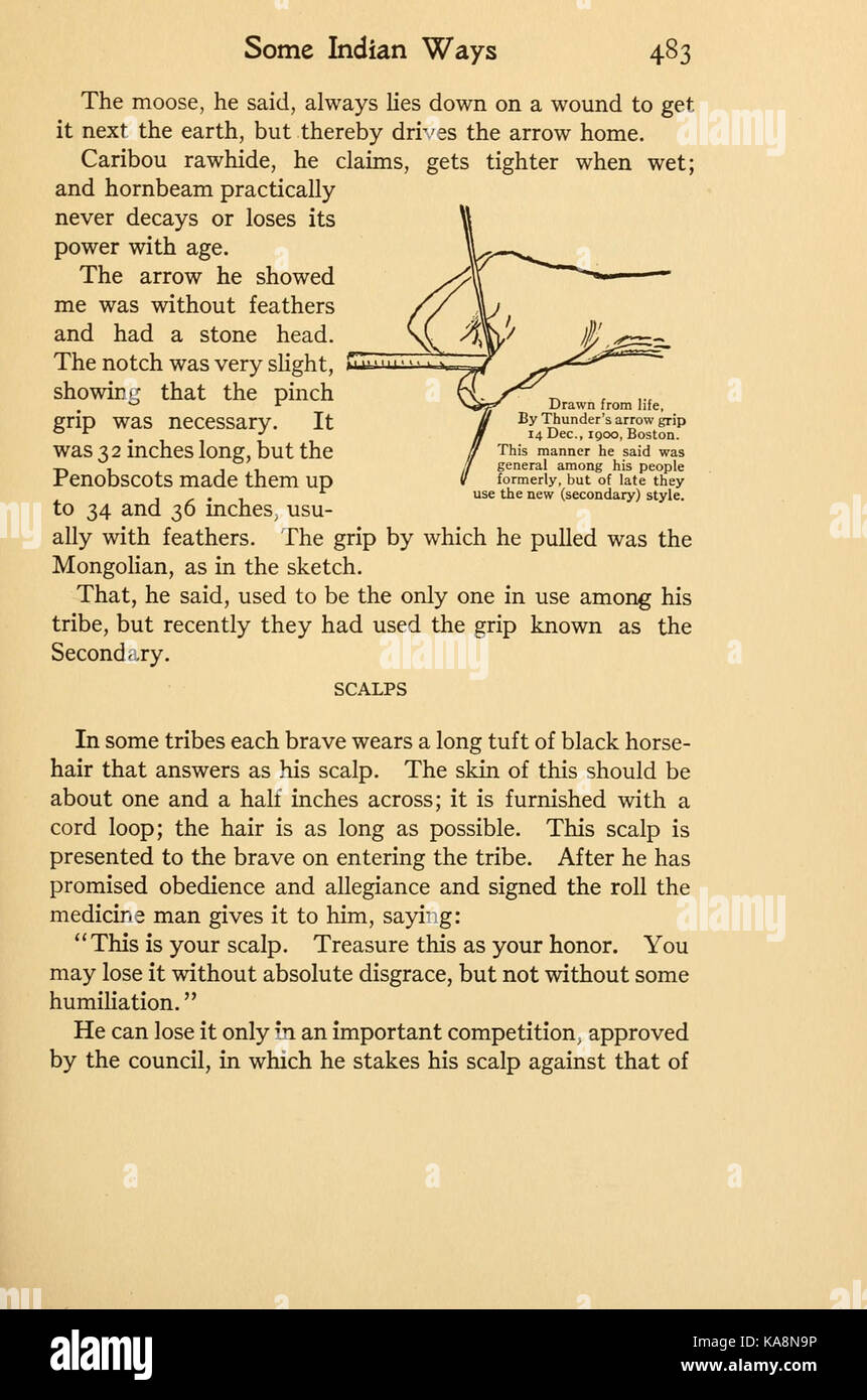 The book of woodcraft and Indian lore (Page 483) BHL3910493 Stock Photo ...