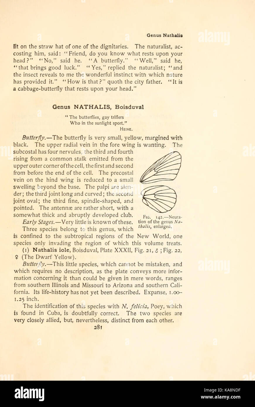 Fig 281 hi-res stock photography and images - Alamy