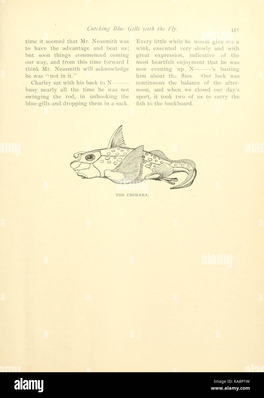 The American Angler presents an illustration of Chimaera, a deep-sea ...
