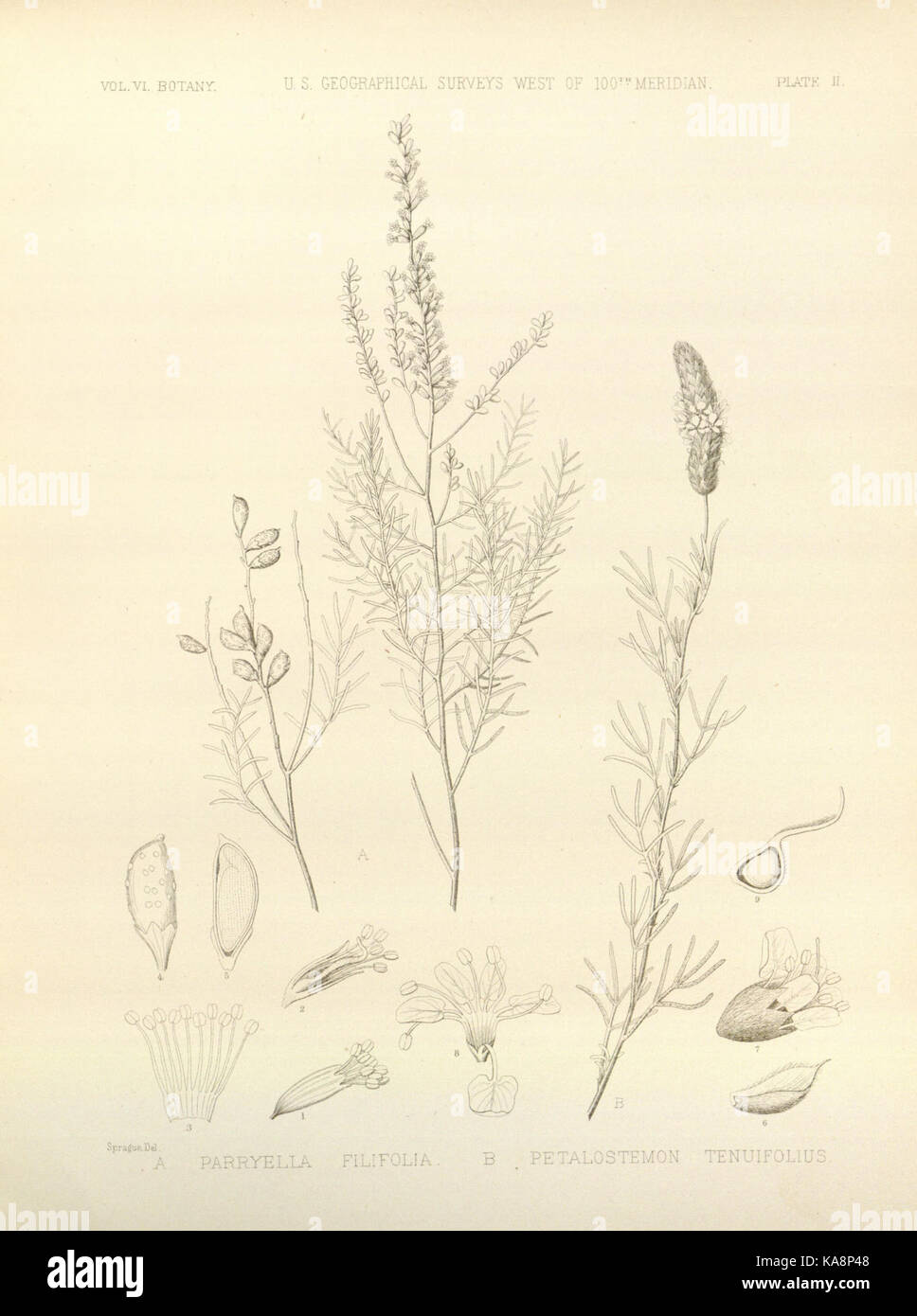 Hundredth meridian hi-res stock photography and images - Alamy