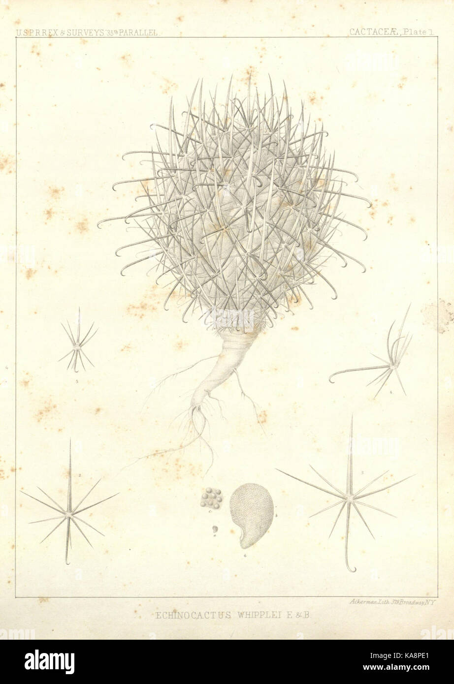 Historical map shows route hi-res stock photography and images - Alamy