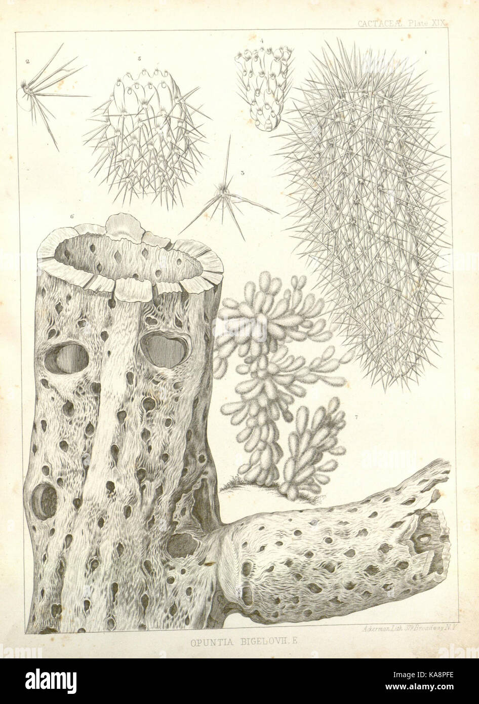 Route of the 35th parallel hi-res stock photography and images - Alamy