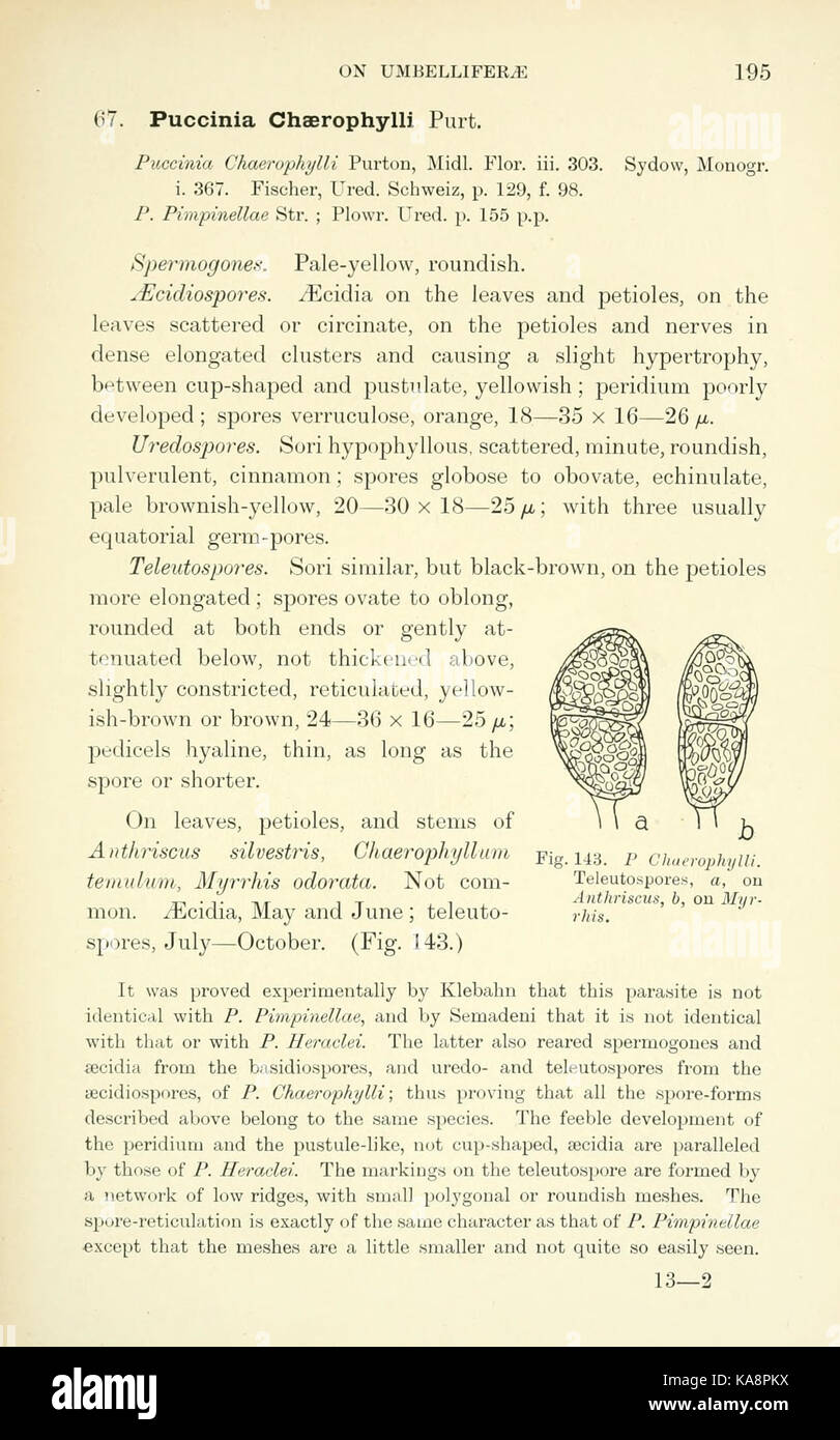 The British rust fungi (Uredinales) (Page 195) BHL2990929 Stock Photo ...