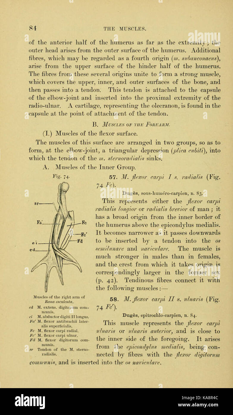 The illustration on Page 84, Figure 74, of a textbook depicts the ...