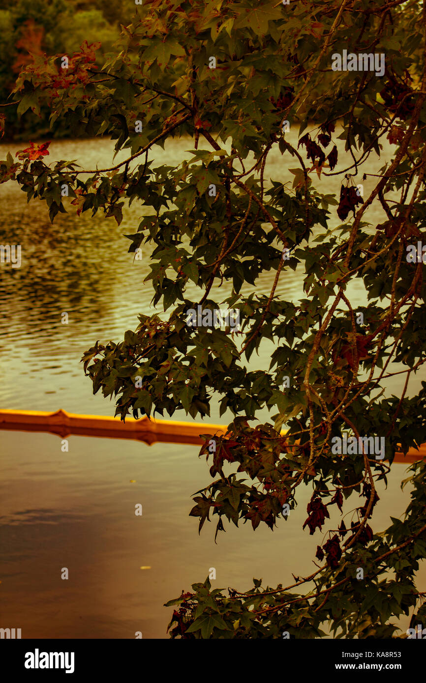 Tantalizing hi-res stock photography and images - Alamy