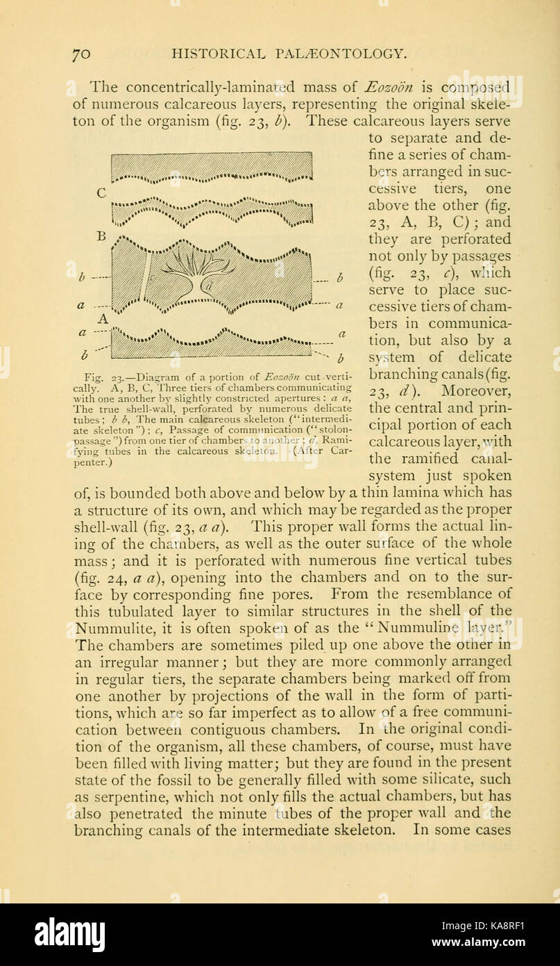 This page from 'The Ancient Life History of the Earth' provides a ...