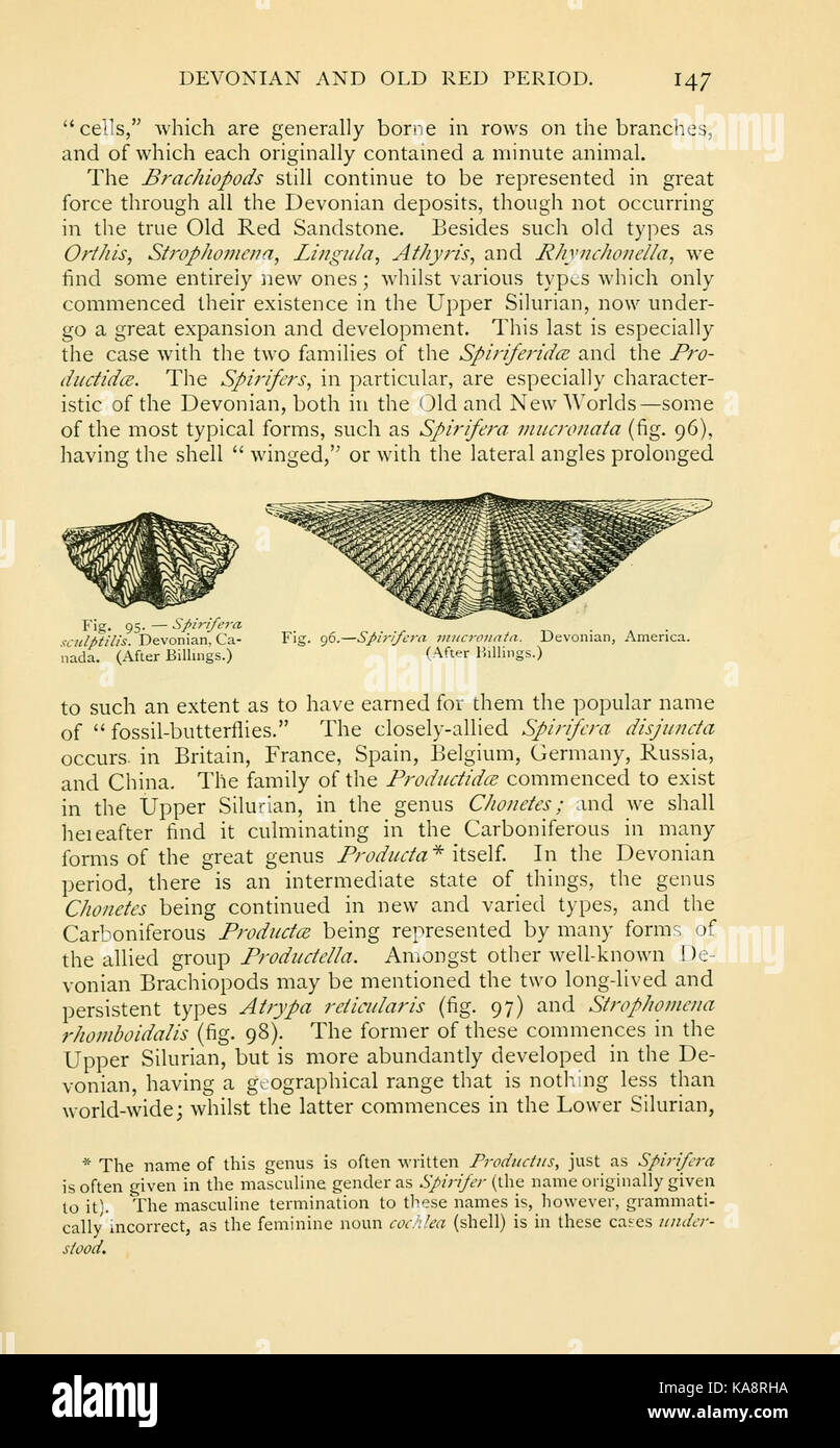 A page from 'The Ancient Life History of the Earth' showing ...
